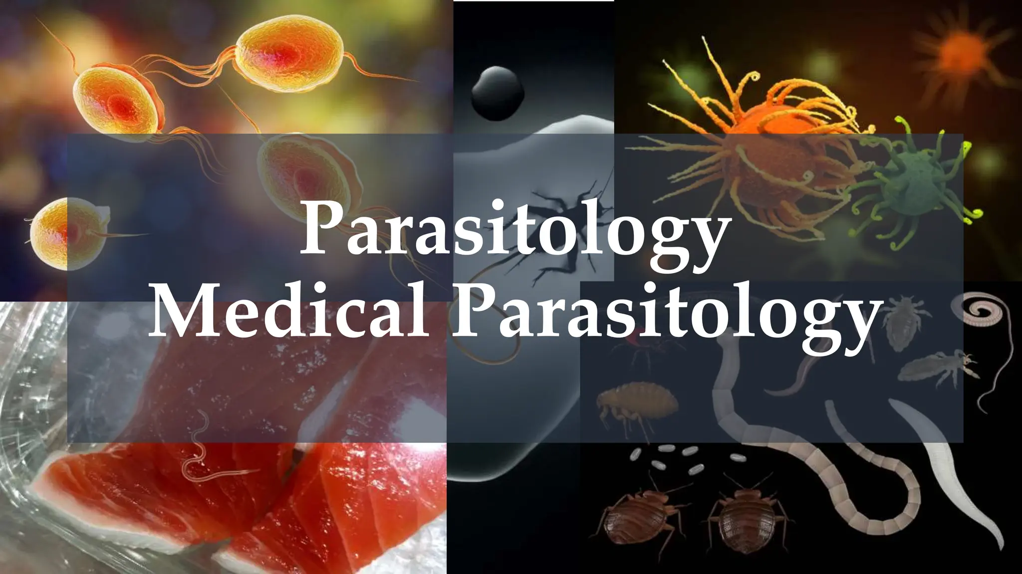 Intro_to_Parasitology.pdf. hdbjdbhiekjhd | PDF