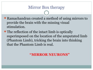 Intro to phantom limb pain | PPT