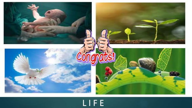 INTRO TO PHILO Q2, WEEK 7-8 MEANINGFUL LIFE_DEATH.pptx