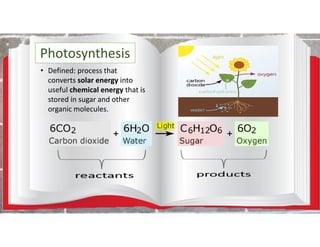 Intro to Photosynthesis.pdf