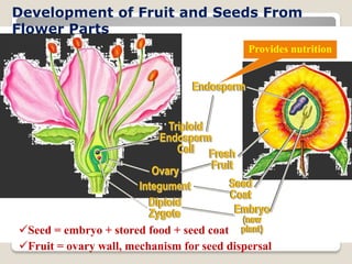 Intro to plant | PDF