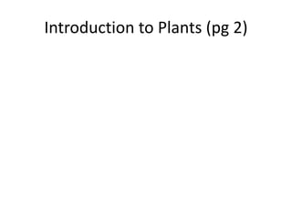 Intro to plants | PPTX