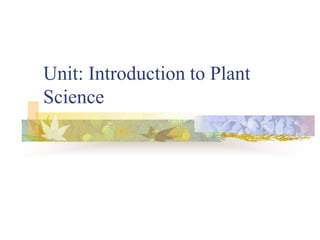 intro_to_plants.ppt