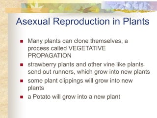 intro_to_plants.ppt