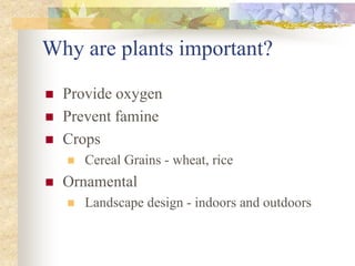 intro_to_plants.ppt