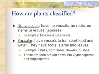 intro_to_plants.ppt