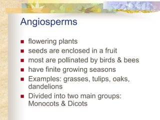 intro_to_plants.ppt