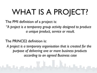 Project Management - Back To Basics | PDF