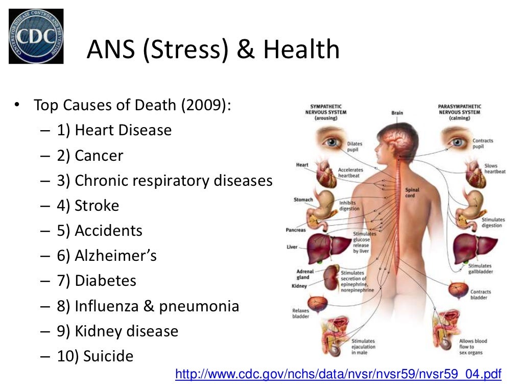 Introduction to the PNS