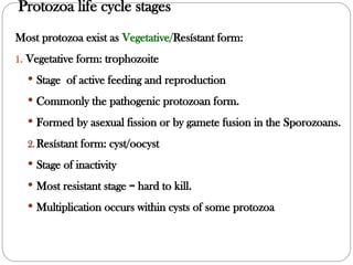 Introduction to protozoa (2).ppt for all medicals | PPT