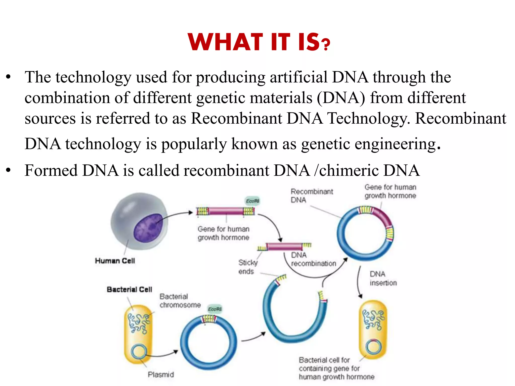 Introduction to recombination DNA technology | PPTX