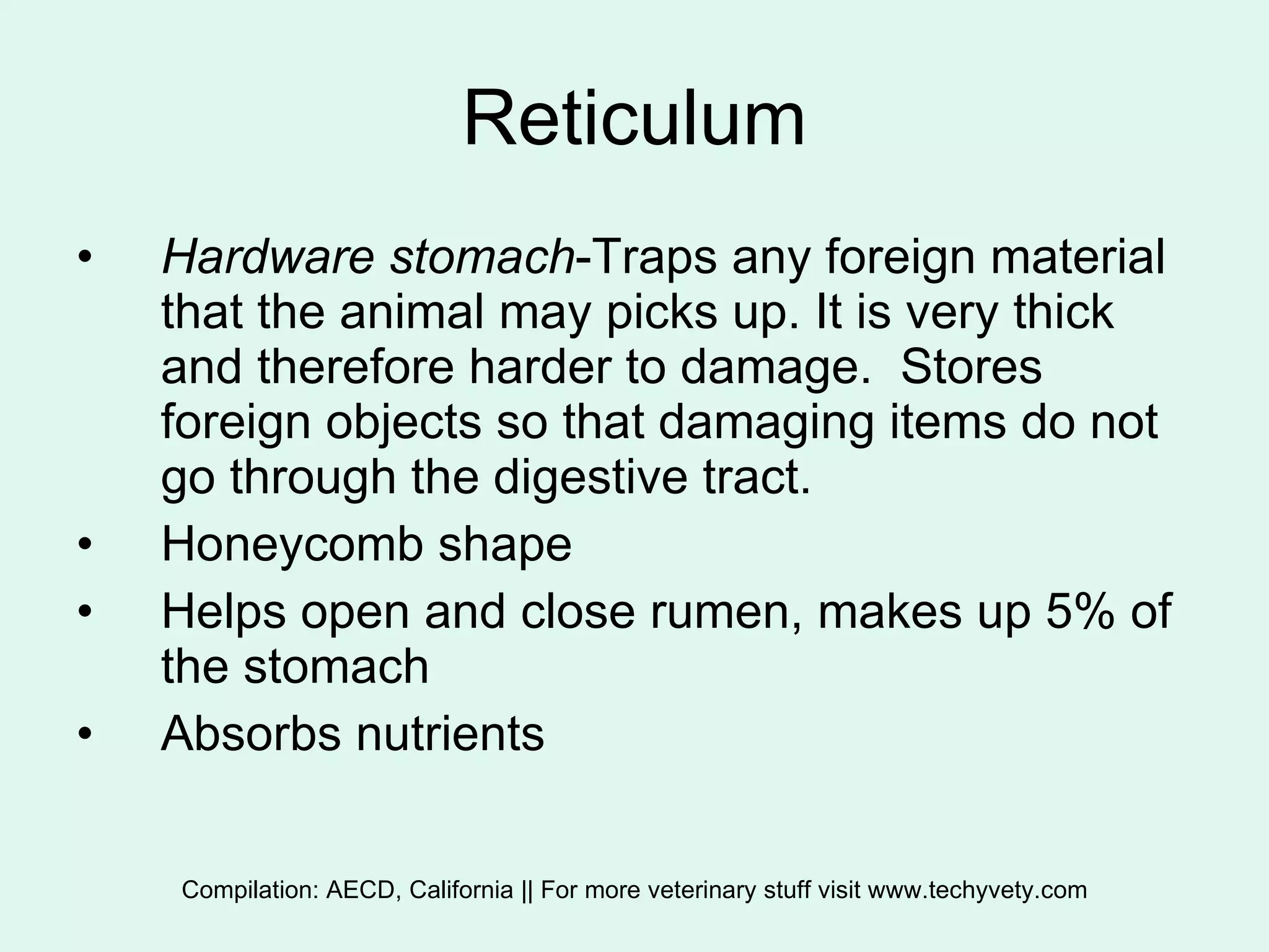 Intro to ruminant digestion | PPS