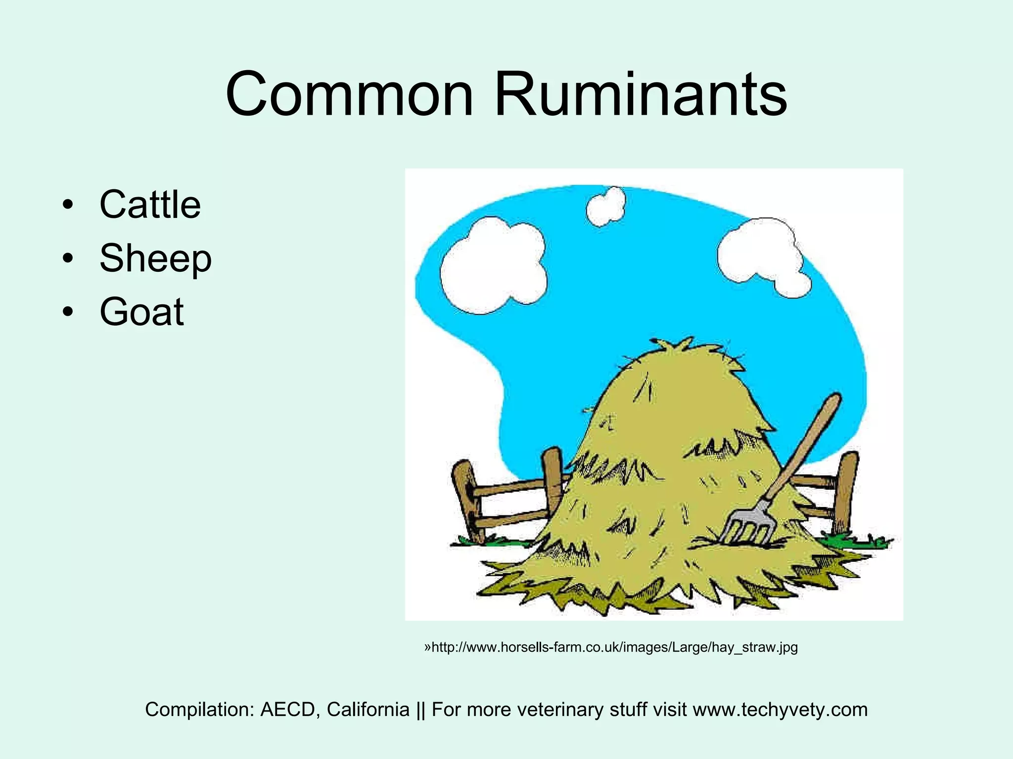 Intro to ruminant digestion | PPS | Nutrition | Healthy Living