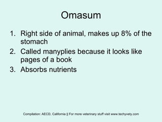 Intro to ruminant digestion | PPS