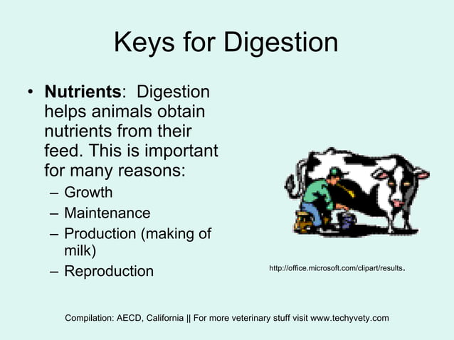 Intro to ruminant digestion | PPS | Nutrition | Healthy Living