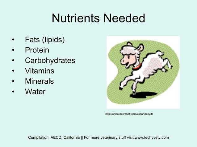 Intro to ruminant digestion | PPS | Nutrition | Healthy Living
