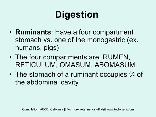 Intro to ruminant digestion | PPS | Nutrition | Healthy Living
