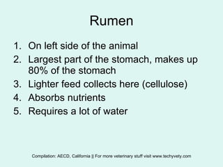 Intro to ruminant digestion | PPS