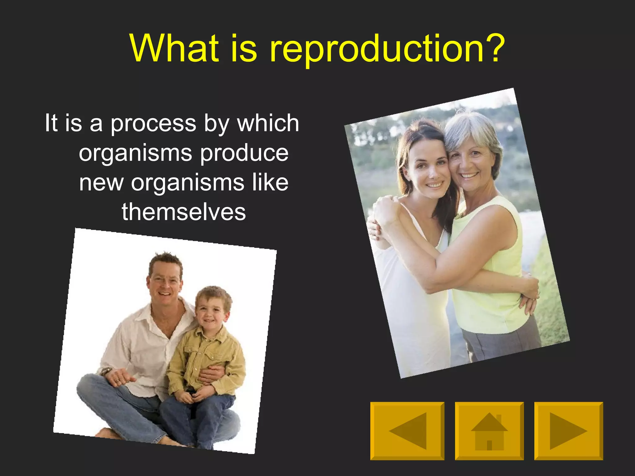 Introduction to sexual reproduction | PPT