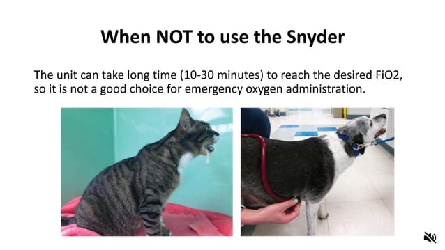 Introduction to the Snyder Unit | PPTX