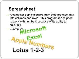 Spreadsheets Concepts and Vocab | PPTX