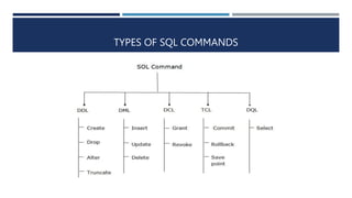 INTRO TO SQL.pptx