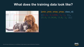 Intro to Object Detection with SSD | PPTX