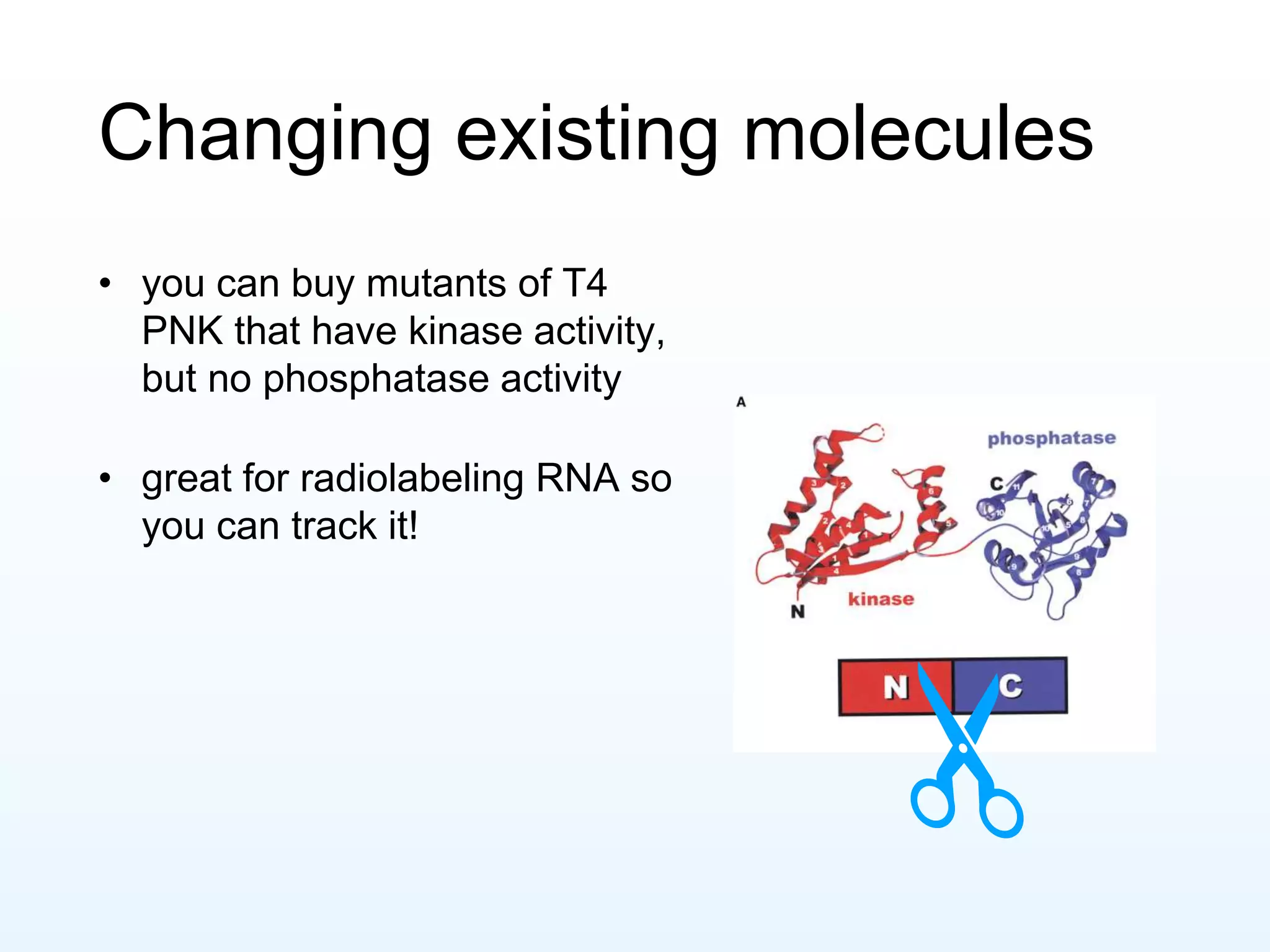 Intro to structural biology | PPTX