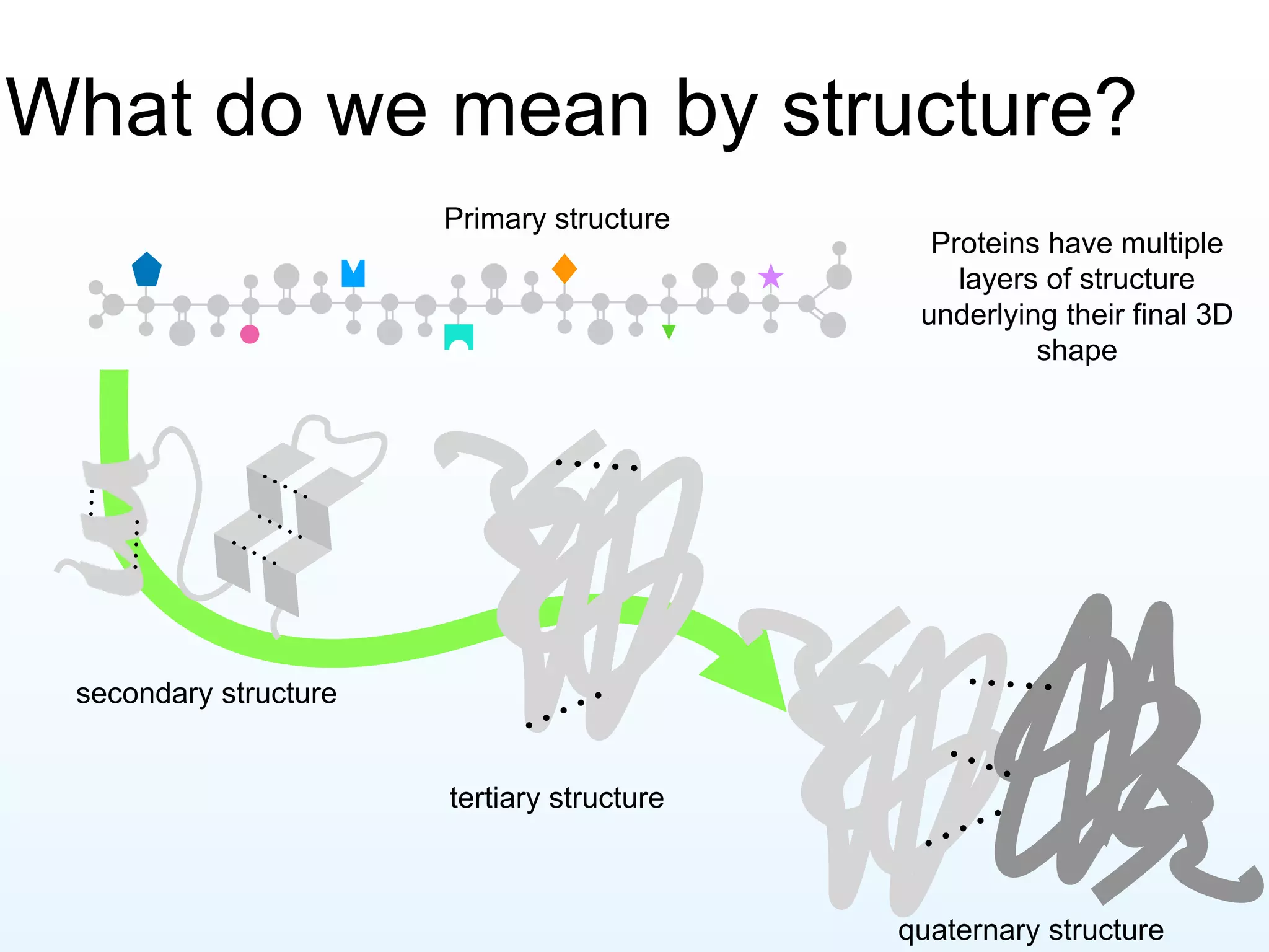Intro to structural biology | PPTX