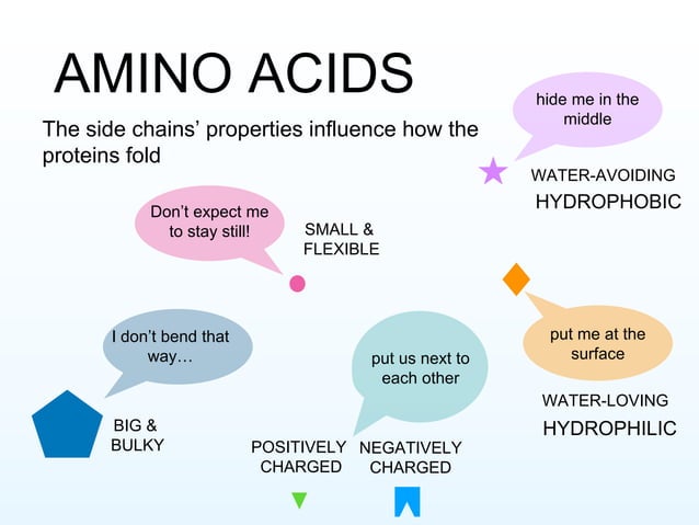 Intro to structural biology | PPTX | Biological Sciences | Science