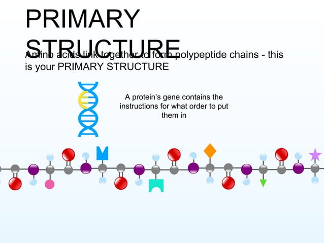 Intro to structural biology | PPTX | Biological Sciences | Science