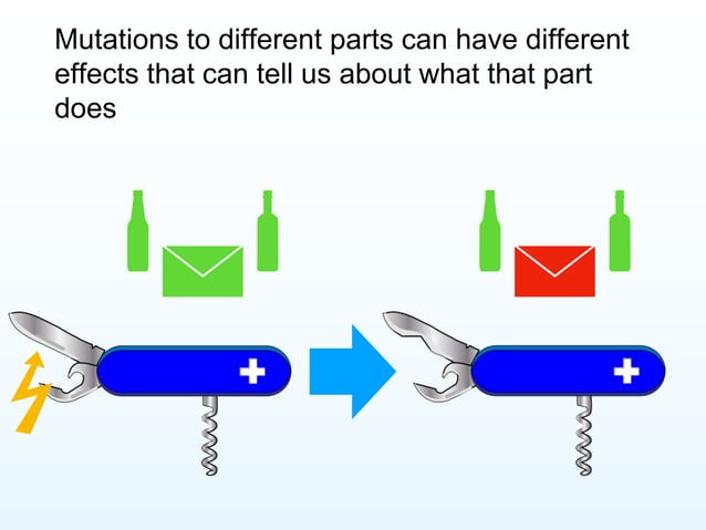 Intro to structural biology | PPTX | Biological Sciences | Science