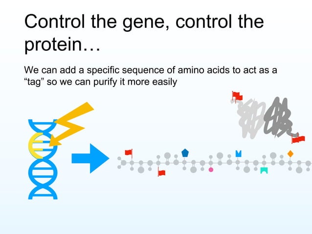 Intro to structural biology | PPTX | Biological Sciences | Science