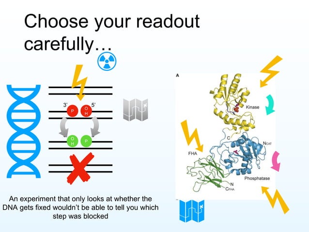 Intro to structural biology | PPTX | Biological Sciences | Science