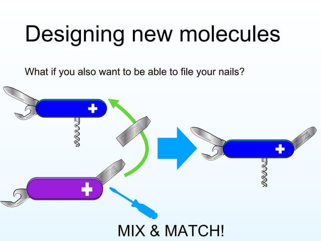 Intro to structural biology | PPTX | Biological Sciences | Science