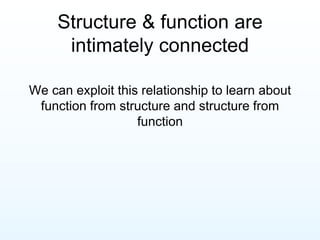 Intro to structural biology | PPTX