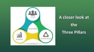 An Introduction to Sustainability | PPTX