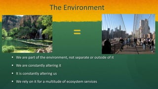 An Introduction to Sustainability | PPTX