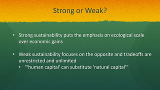 An Introduction to Sustainability | PPTX