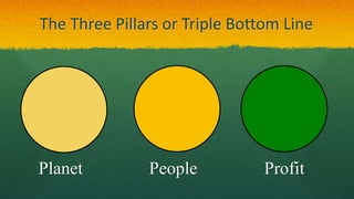 An Introduction to Sustainability | PPTX