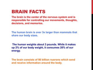 Intro to the brain (gen psych) | PPTX