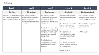 Intro to the Brand Management Maturity Model | PDF