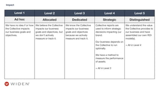 Intro to the Brand Management Maturity Model | PDF