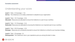 Intro to the Brand Management Maturity Model | PDF