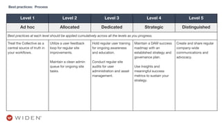 Intro to the Brand Management Maturity Model | PDF