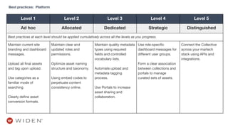 Intro to the Brand Management Maturity Model | PDF