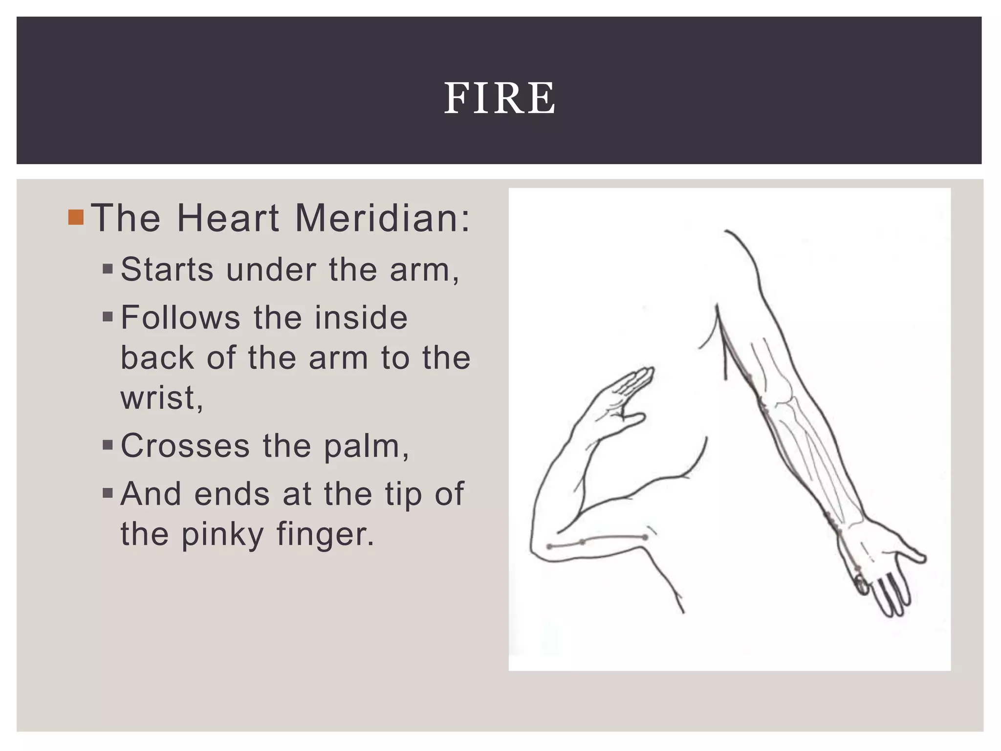 Intro to the meridians | PPTX