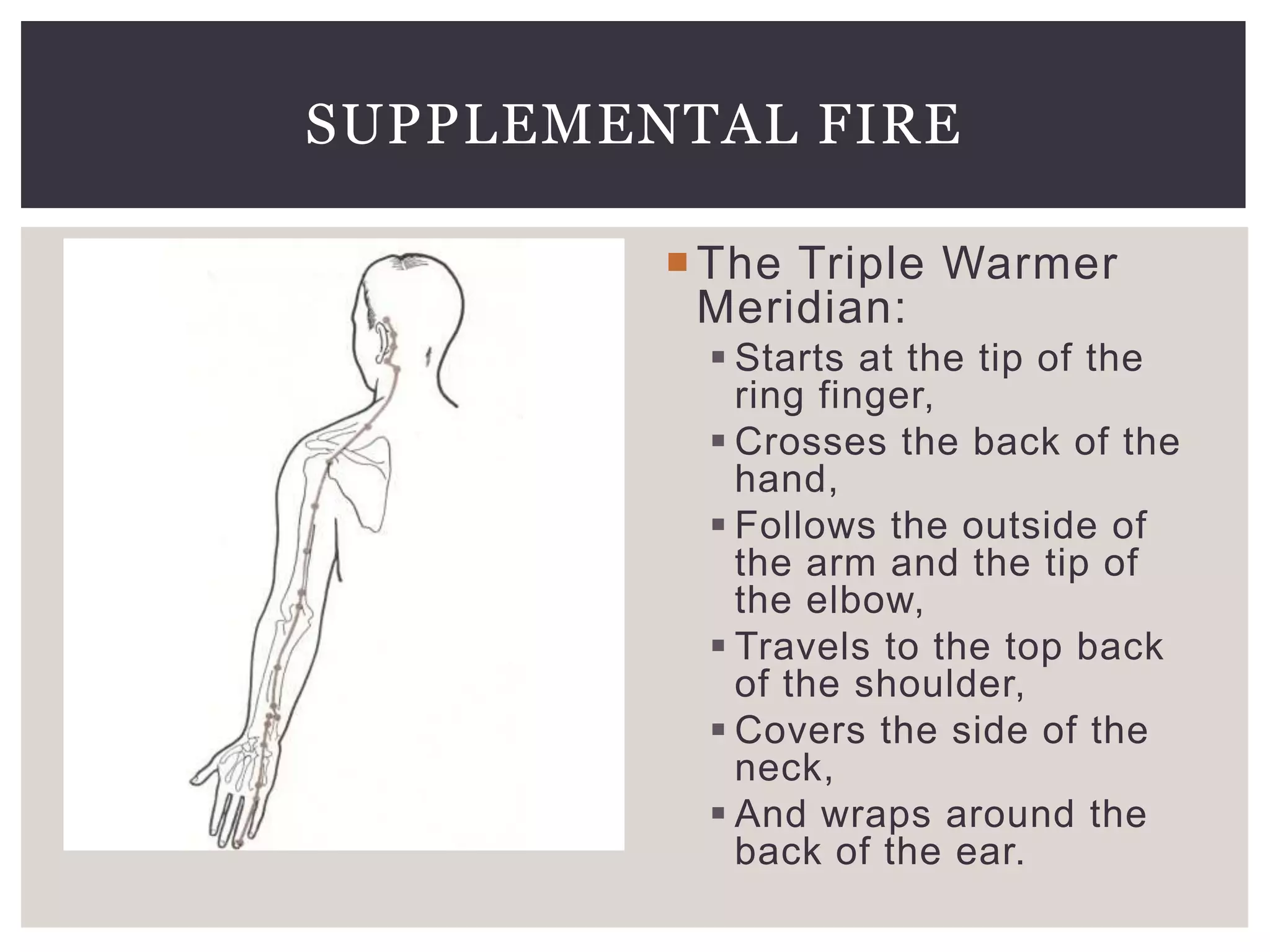 Intro to the meridians | PPTX