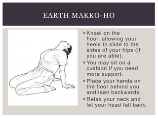 Intro to the meridians | PPTX
