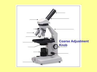Microscope | PPTX